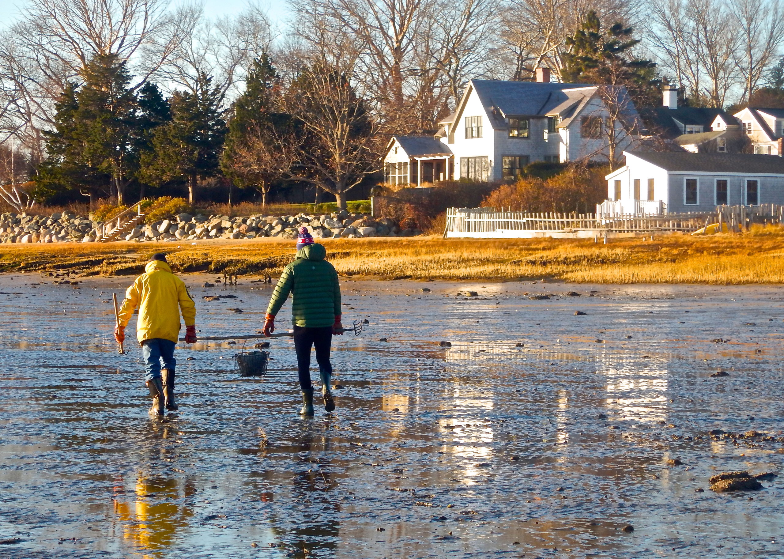 Early Morning Clamming Trip – Baymen Guide Service, Inc. & Baymen Charters