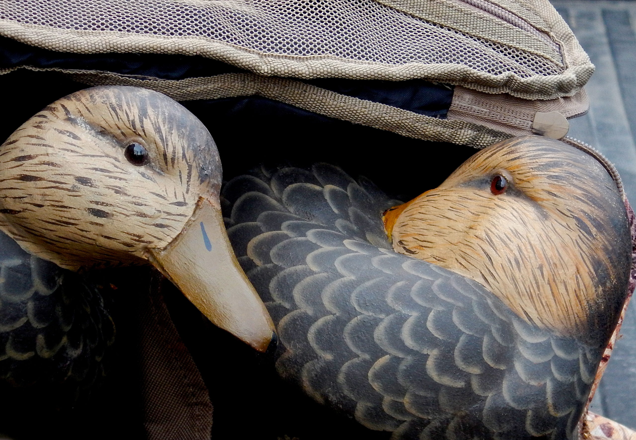 Black Duck Hunts – Baymen Guide Service, Inc. & Baymen Charters