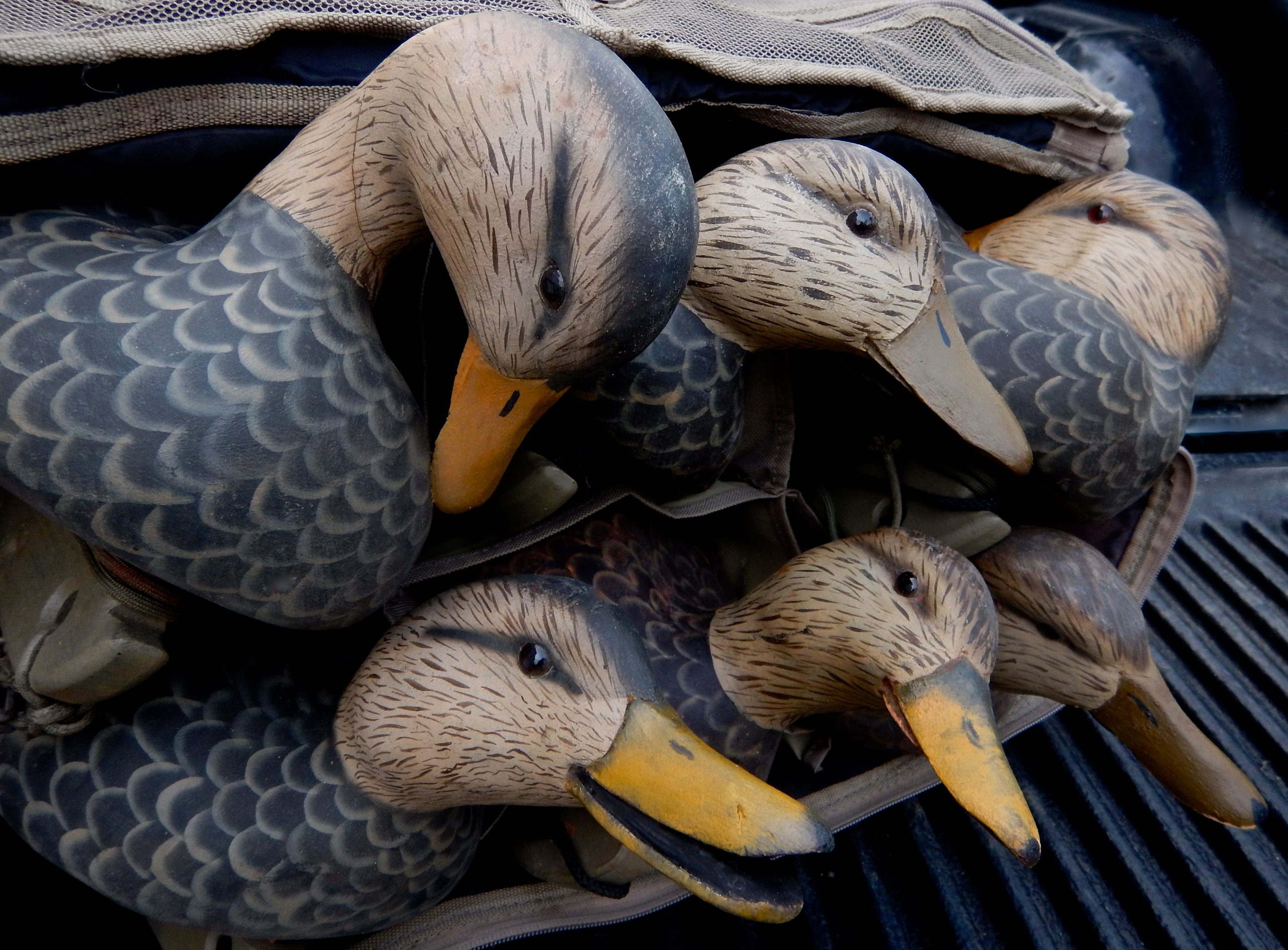 Black Duck Hunts – Baymen Guide Service, Inc. & Baymen Charters