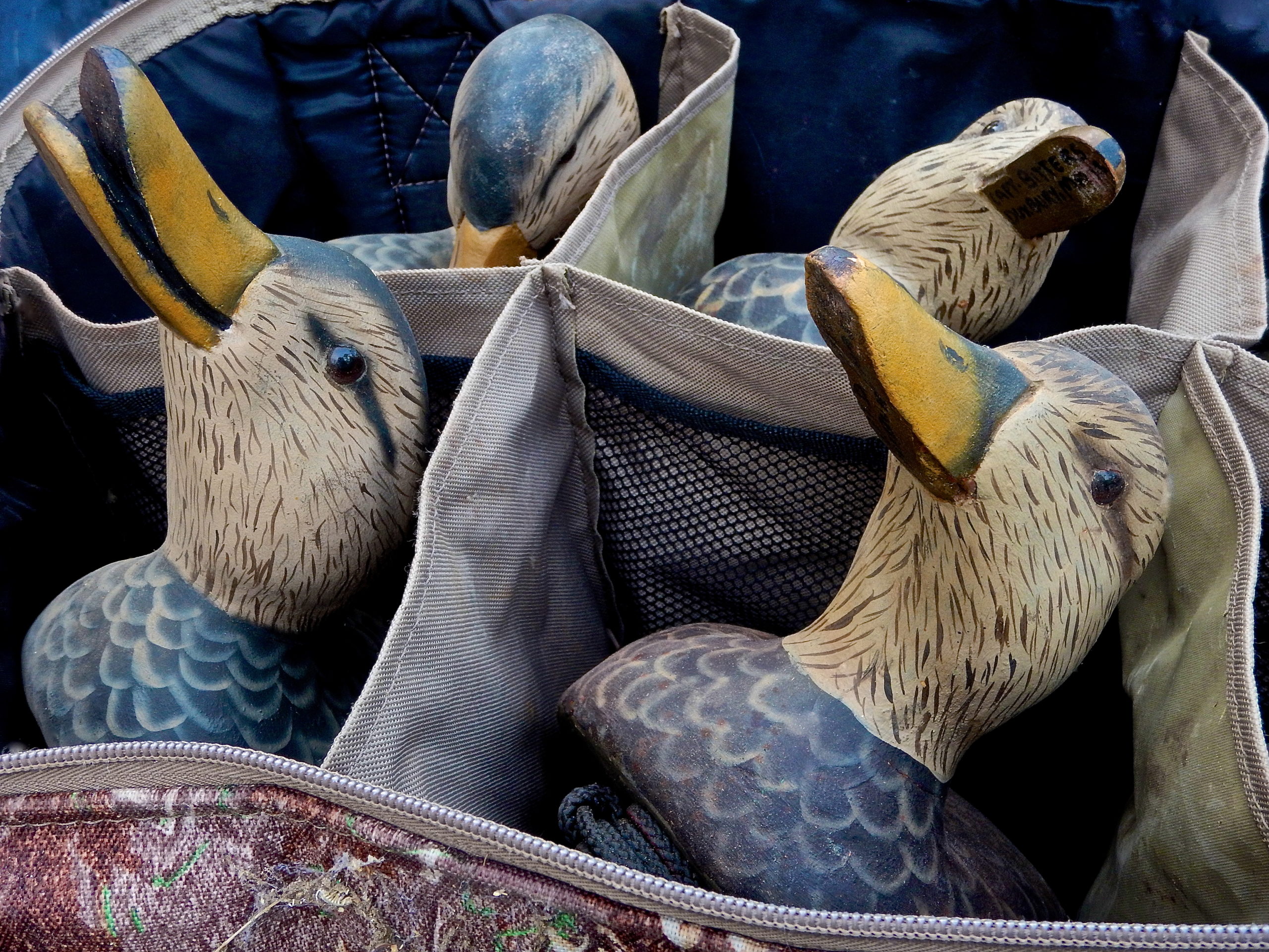 Black Duck Hunts – Baymen Guide Service, Inc. & Baymen Charters