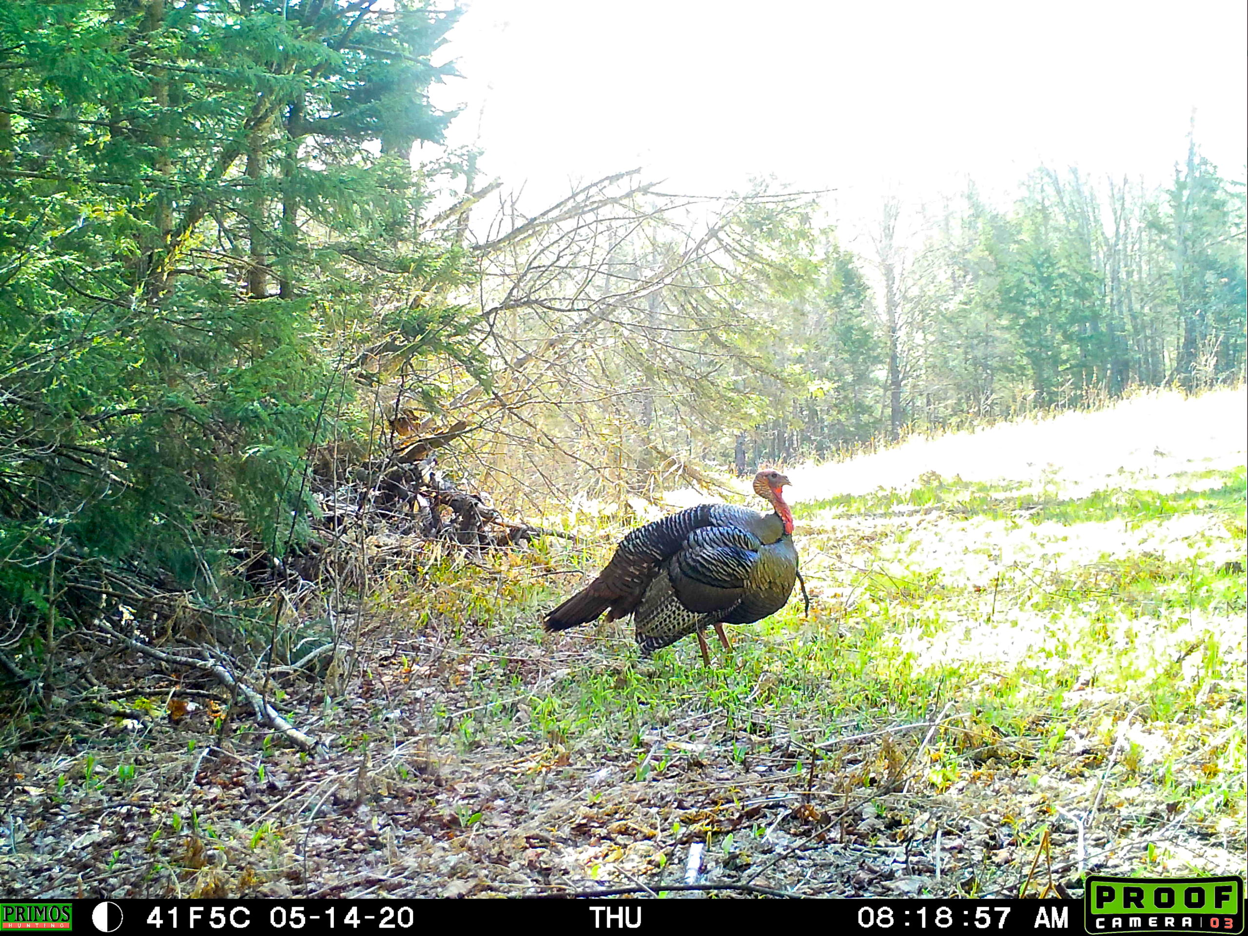Guides Day Off – Baymen Guide Service, Inc. & Baymen Charters