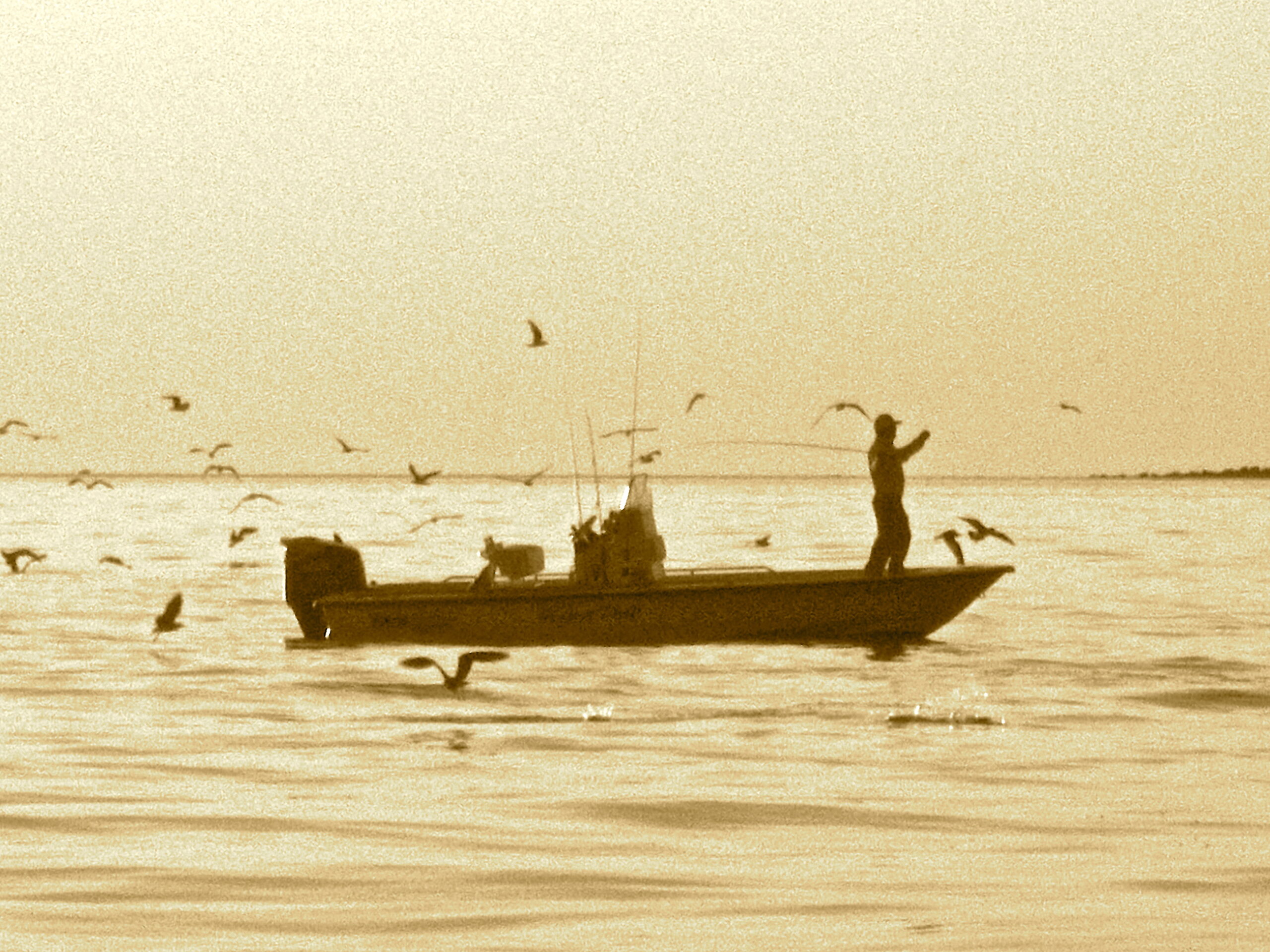 15 Fish – Our morning in Pictures – Baymen Guide Service, Inc. & Baymen ...