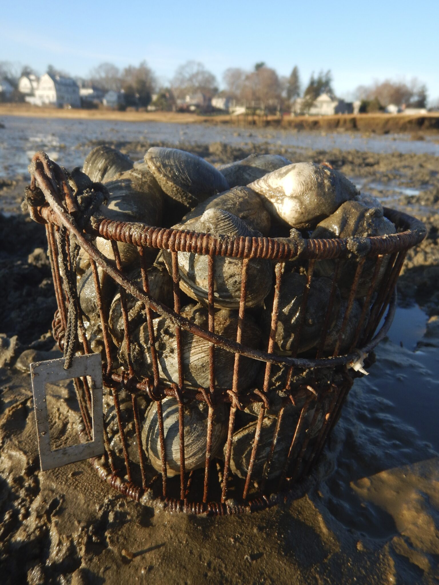 Clamming Trips – Baymen Guide Service, Inc. & Baymen Charters
